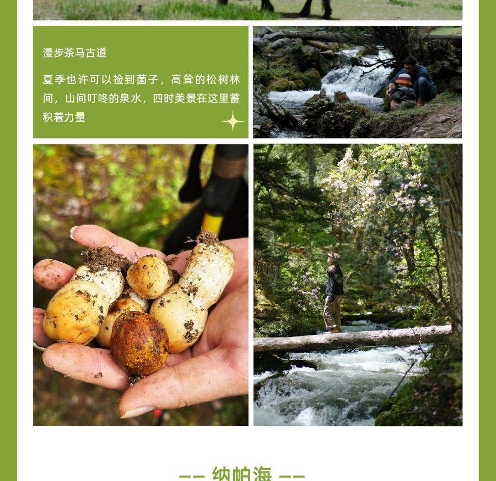 5-day tour to Niding Forest in Shangri-La, Yunnan (Songzanlin Temple ...